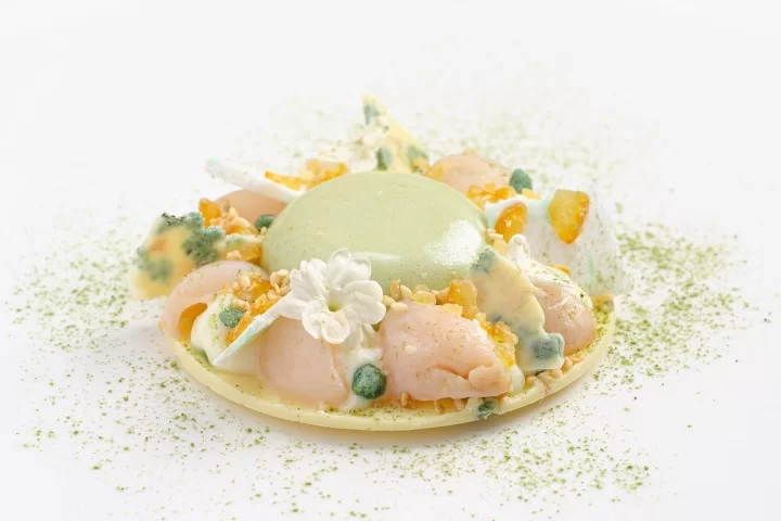 Matcha and Yuzu Mousse using MSK UltraMousse