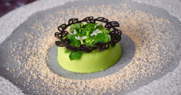 Pea Mousse with a Black Garlic Tuile and Lemon Verbena Gel