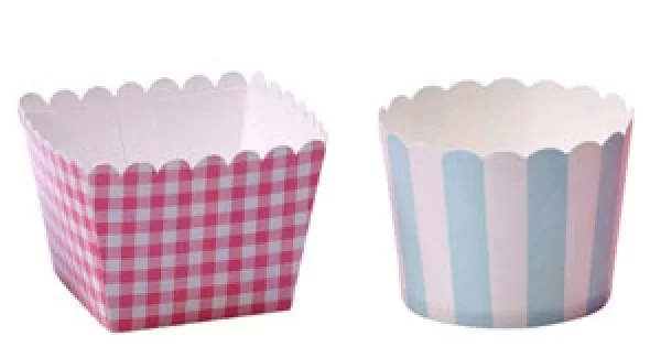 Snack Boxes