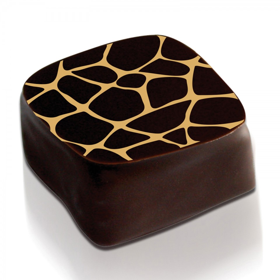 Chocolate Transfer Sheets