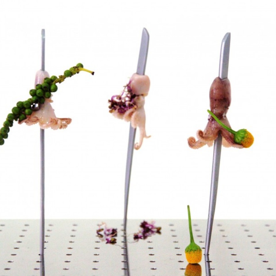 Cone & Skewer Stands