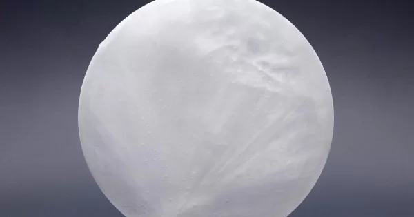 Ice Age Freezer Plate (Large) Ø 20-21 cm, 1 unit