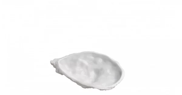 Oyster Dish XXL, 100ml by 100% Chef, 2pk