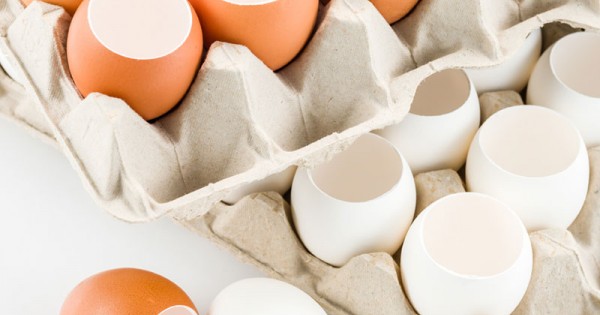 Egg Shells (brown), 300pk