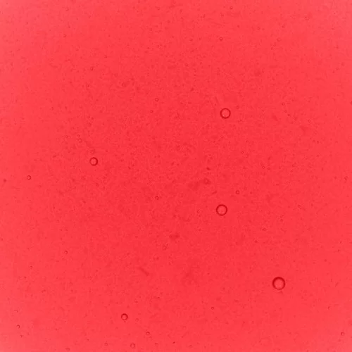 Raspberry Performance Liquid Food Colour, 50ml