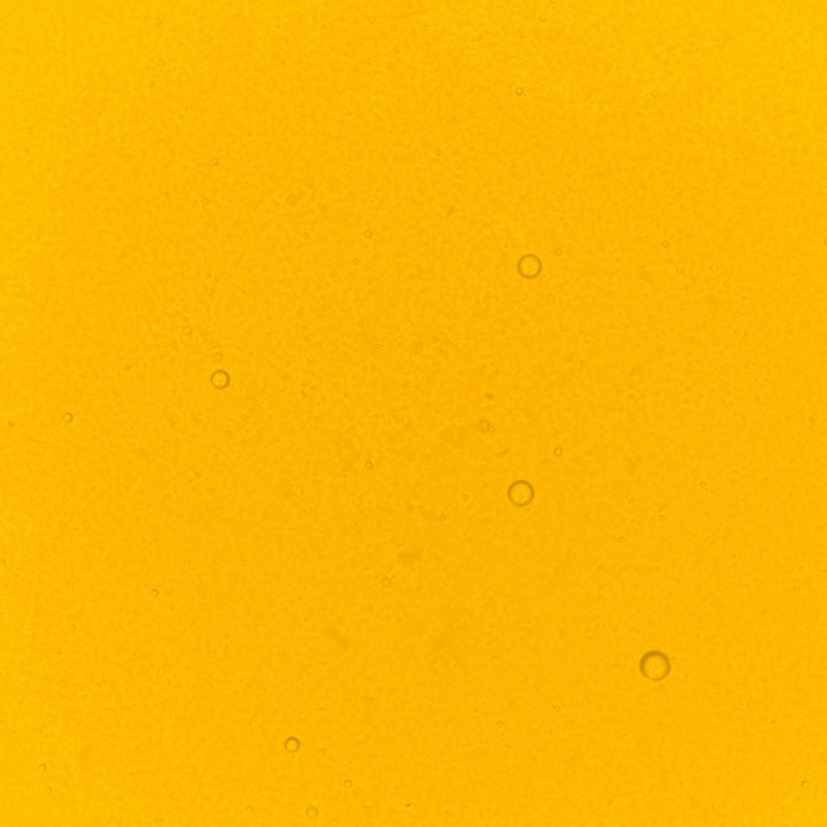 Egg Performance Liquid Food Colour, 50ml